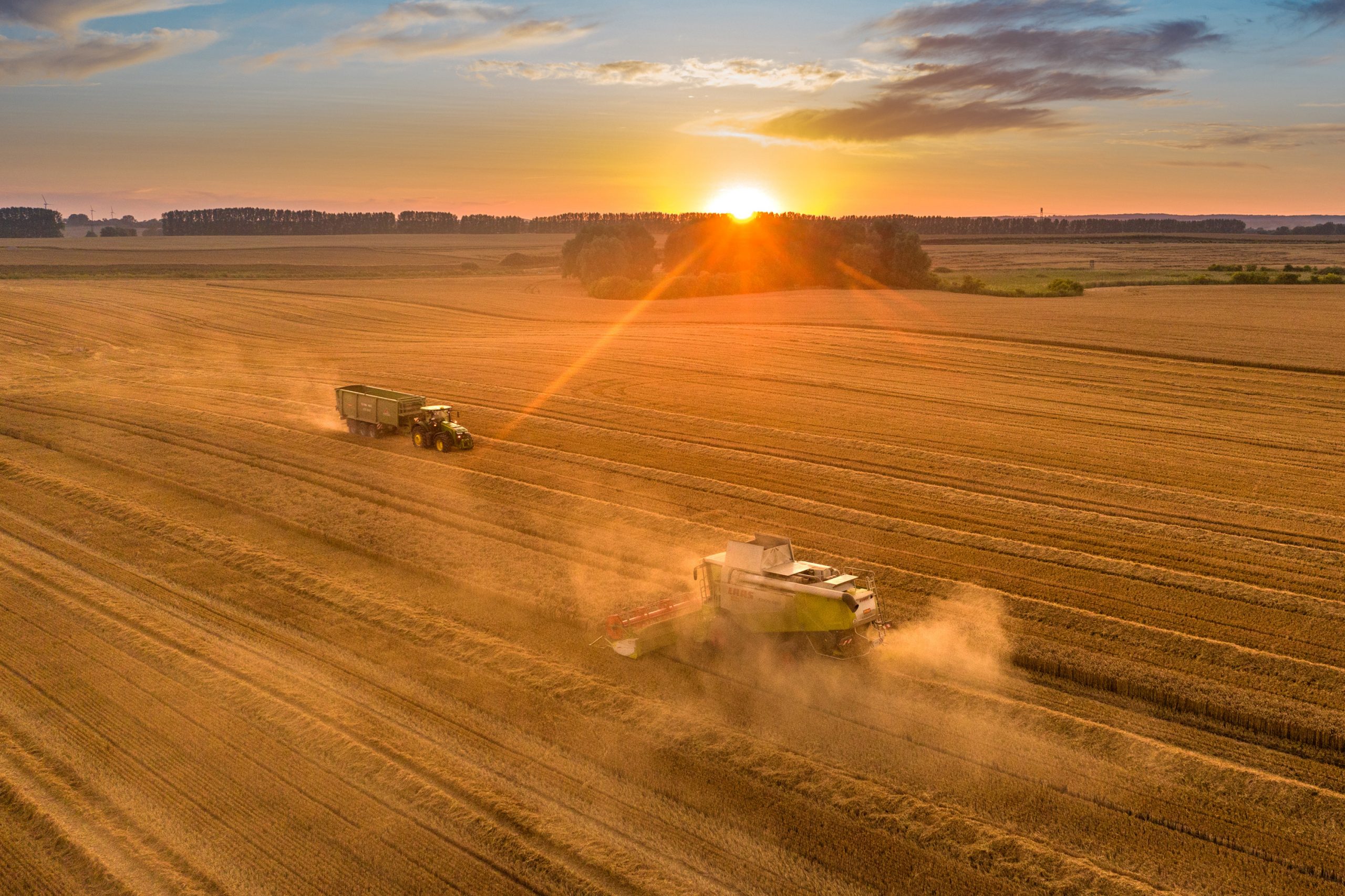 Infopost 02/2025 – Bauernverband Uecker-Randow e.V.