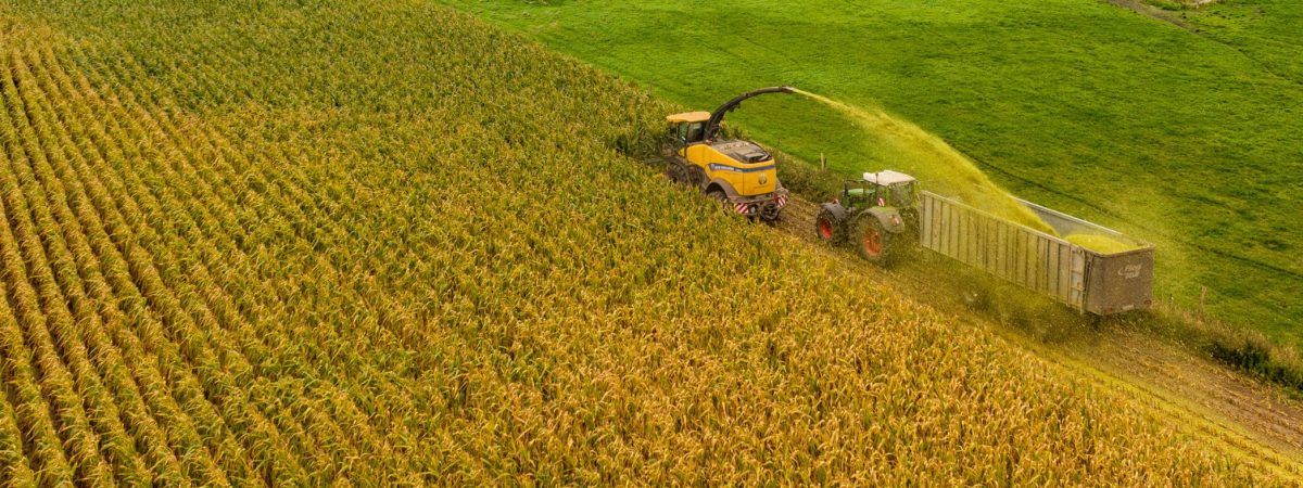 Bauernverband Uecker-Randow e.V.