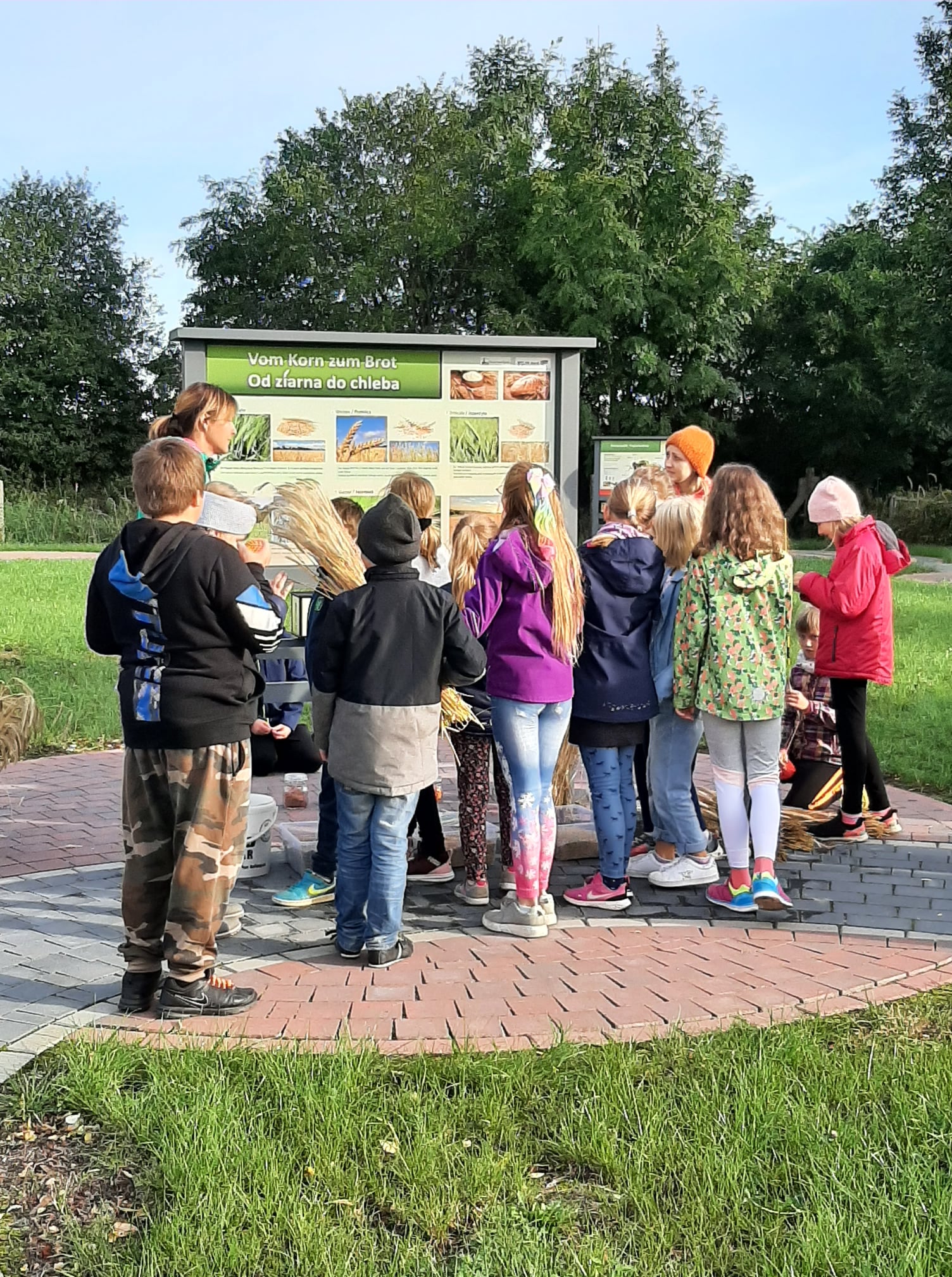 Schüler besuchen „Außerschulischen Lernort Landwirtschaft“ – Bauernverband Uecker-Randow e.V.