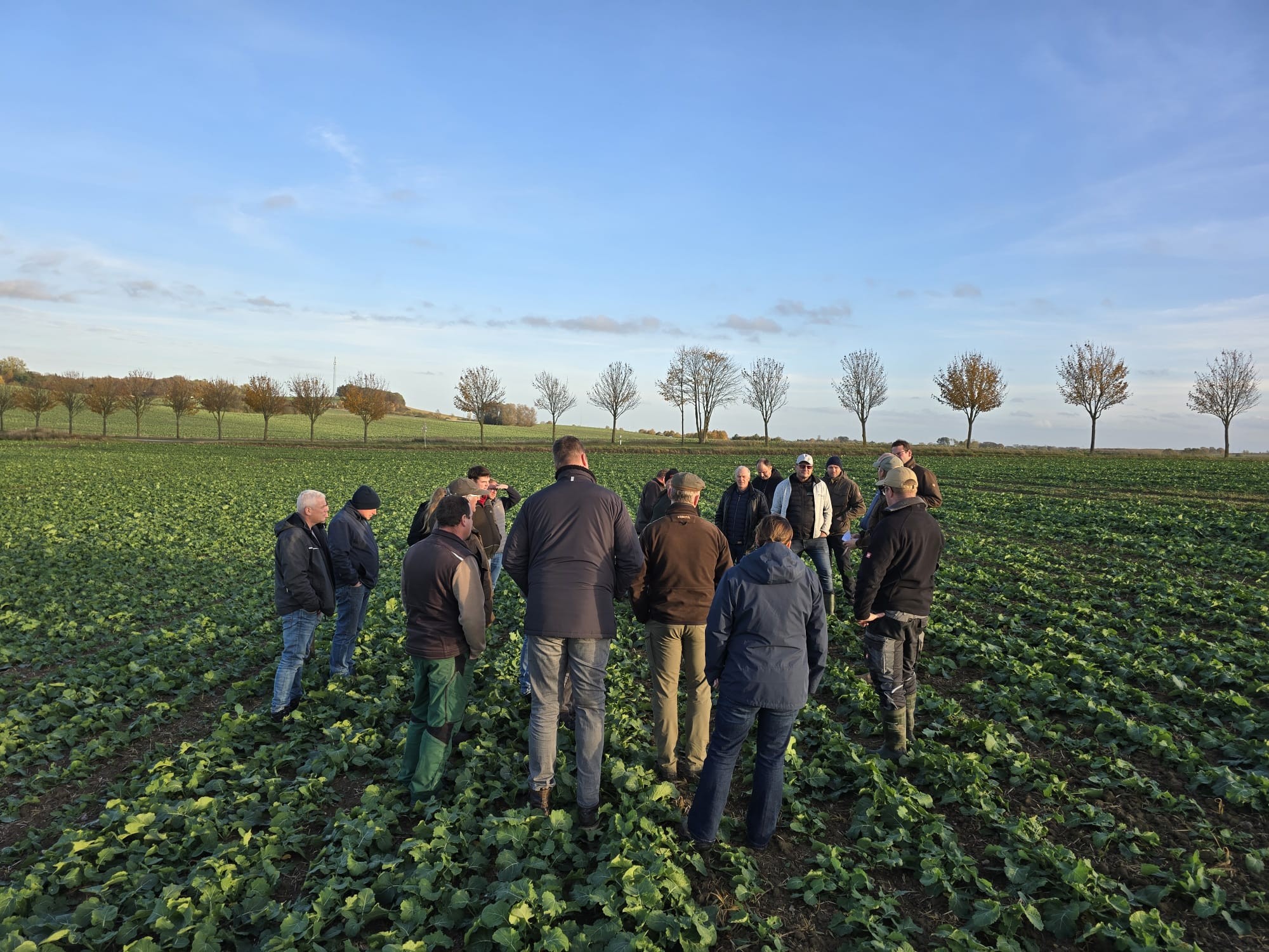 Felderschau in Strasburg – Bauernverband Uecker-Randow e.V.